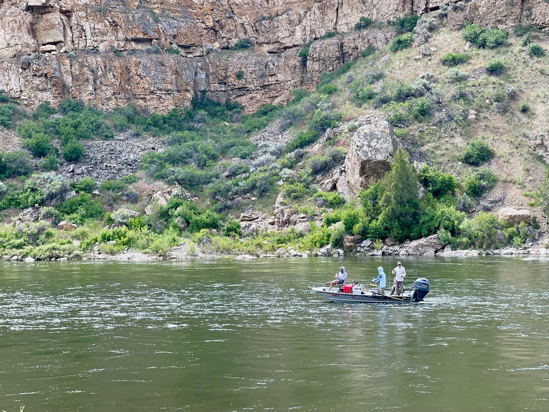 Water Loading Your Cast and Feel the Advantage - Fly Fishing Insider ...